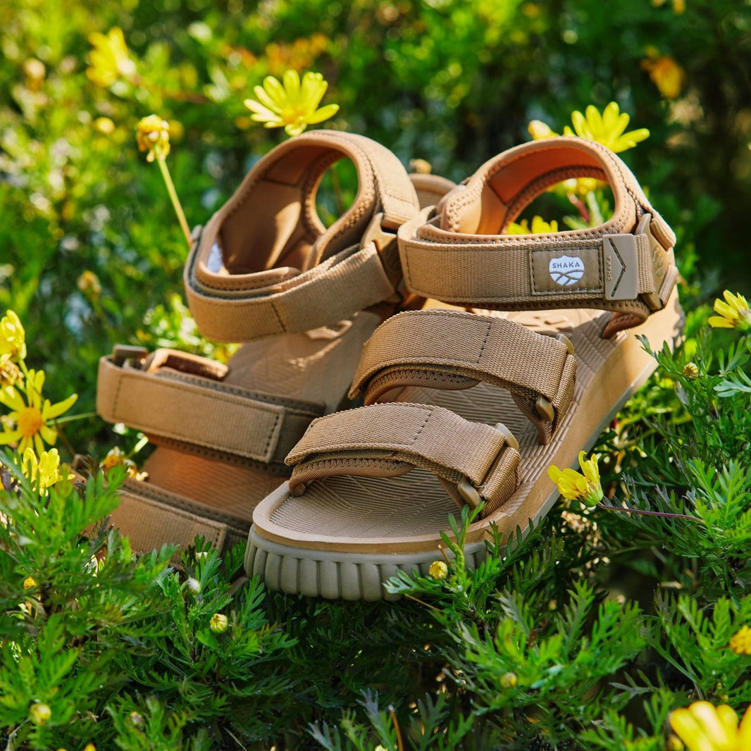 LIMITED 限定・別注商品一覧ページ｜SHAKA(シャカ)公式オンラインストア